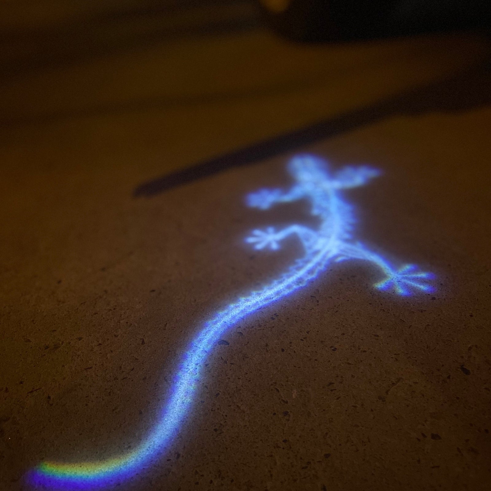 AUDI QUATTRO GECKO LOGO PROJECTOT LIGHTS Nr.64T (quantity 1 = 2 Logo F